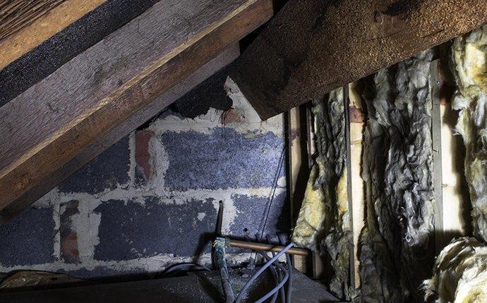 Is The Crawl Space Of Your Kittitas County Home Missing Insulation?