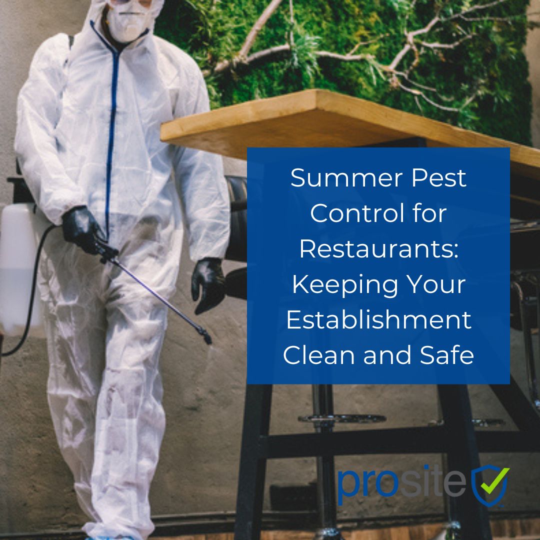 Top Summer Pest Control Tips for Restaurants
